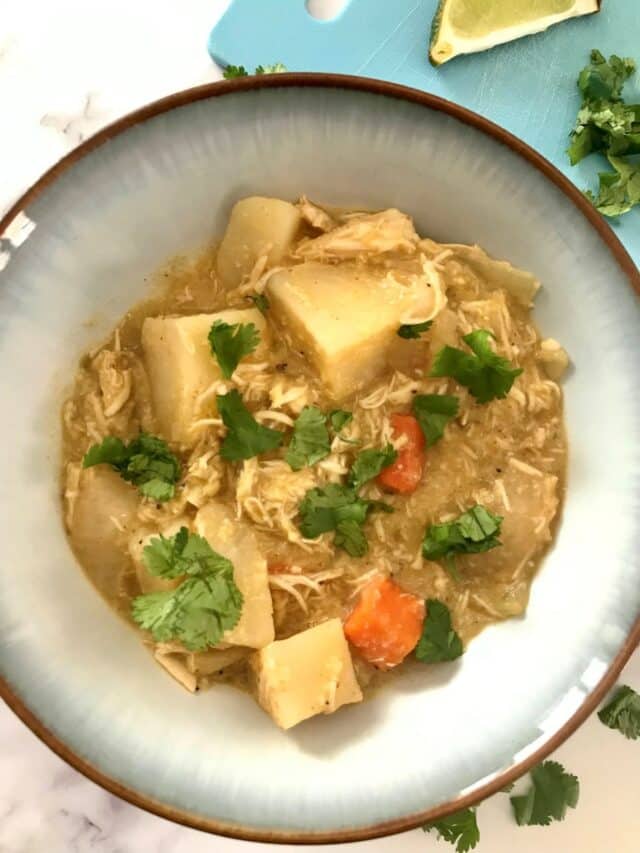 Simple Chicken Stew Recipe – Nosh Nourish Wander